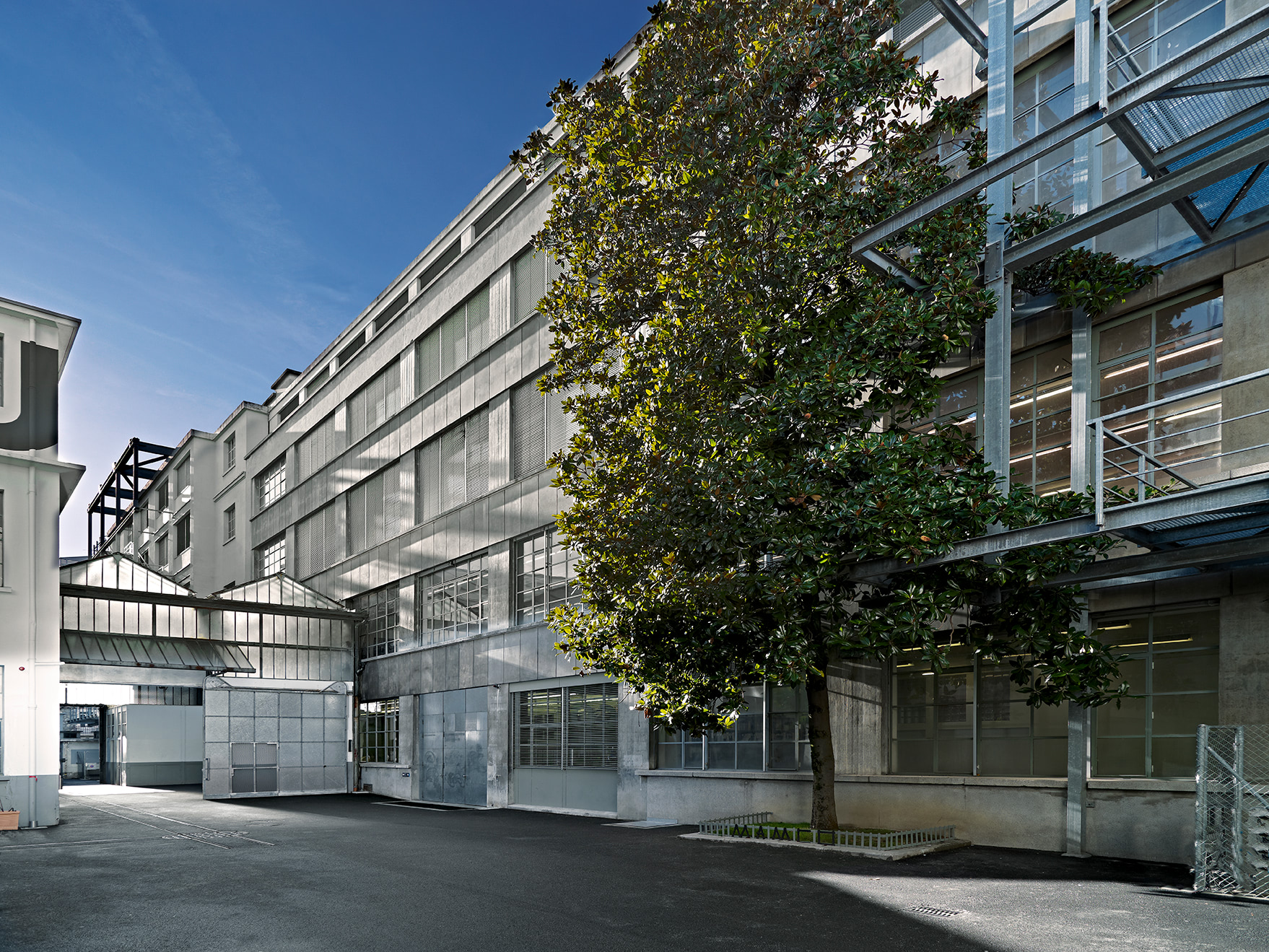 Le MAMCO : origines et développement - INGE